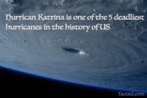 Hurricane Katrina facts - 38 Interesting Facts About Hurricane Katrina ...